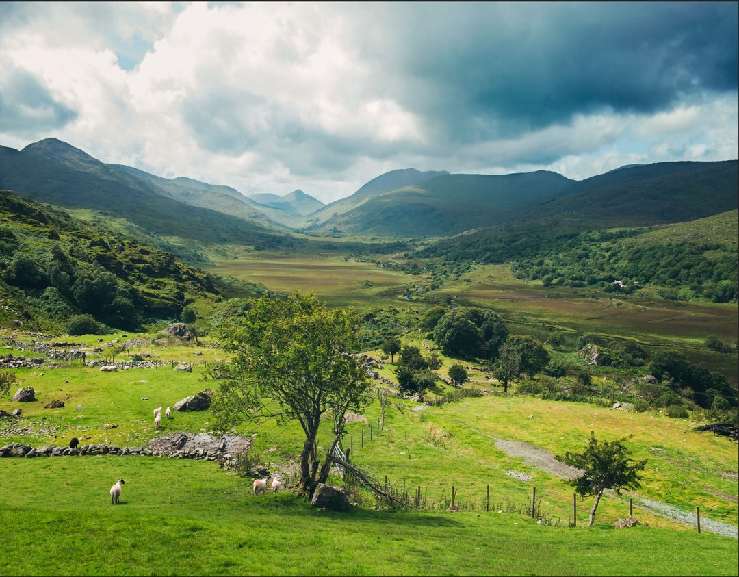 Irish Countryside Sheep Farm in a Gorgeous Valley Poster - Etsy