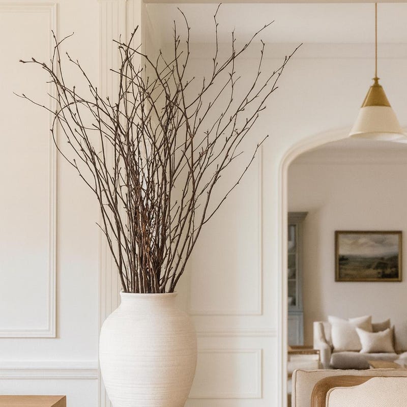 Twig Birch Branches - Etsy