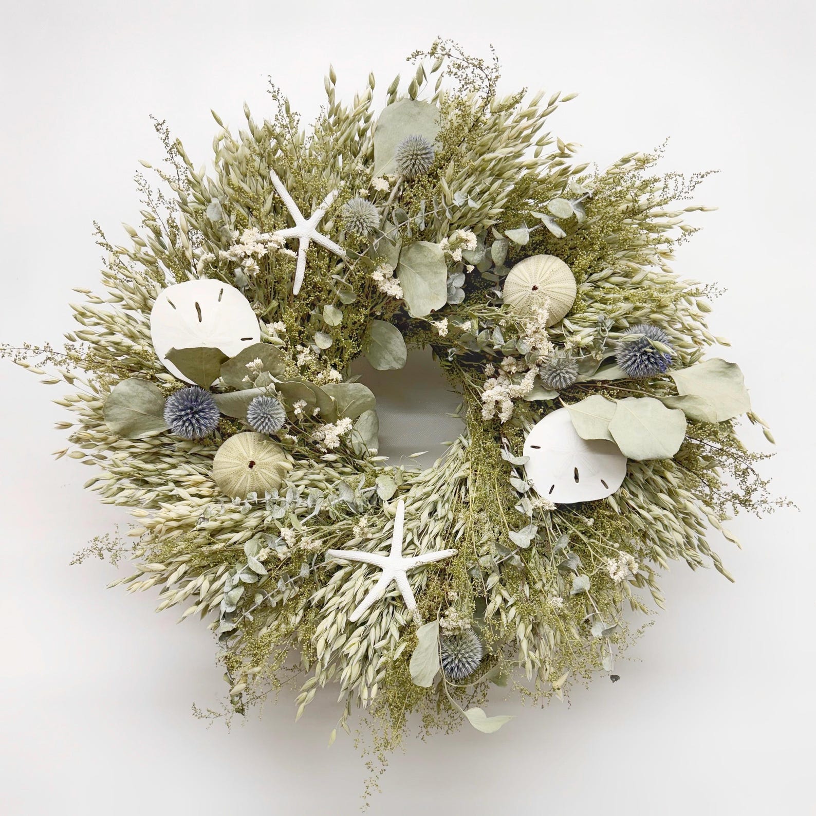 Vancortlandt Farms Beach Coastal Natural Seashell Dried Flower Handmade ...