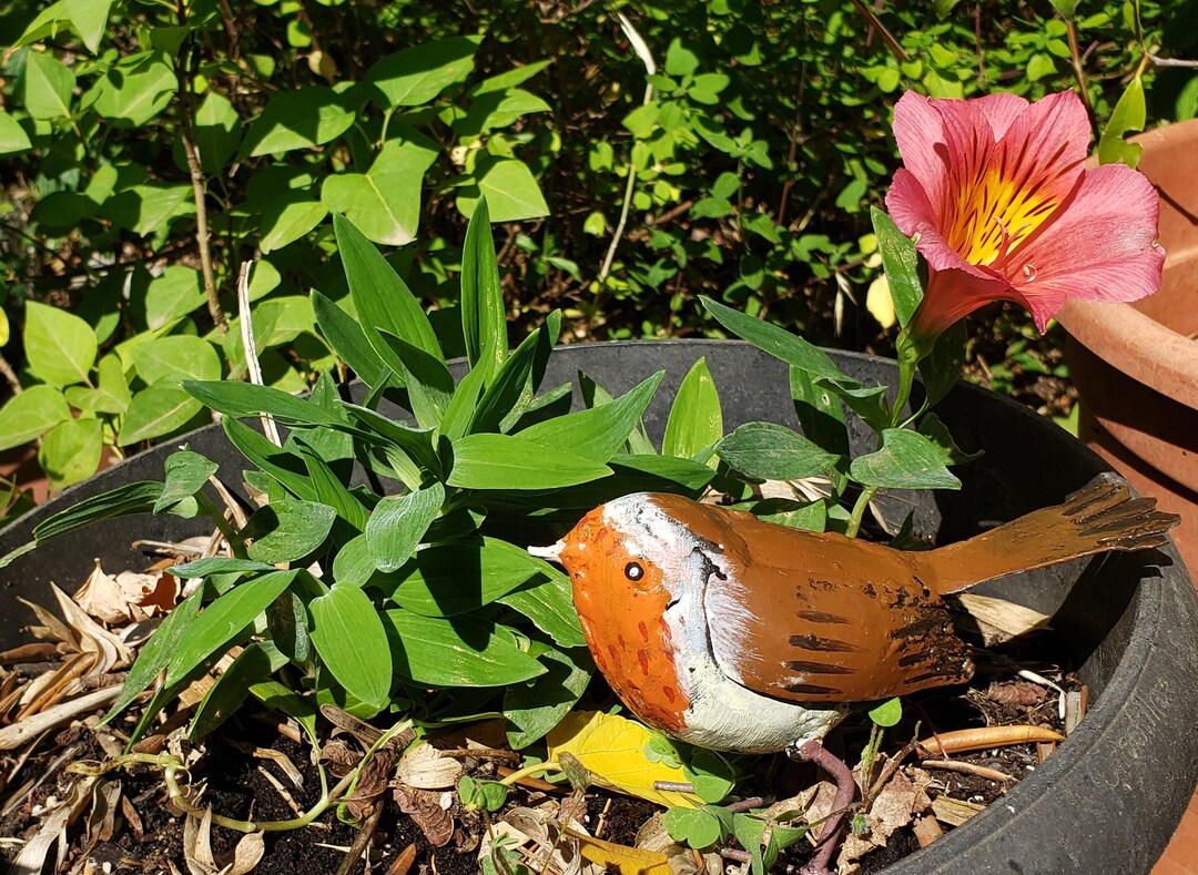 Recycled Metal Red Robin, Garden Birds, Nature, Garden Decoration ...