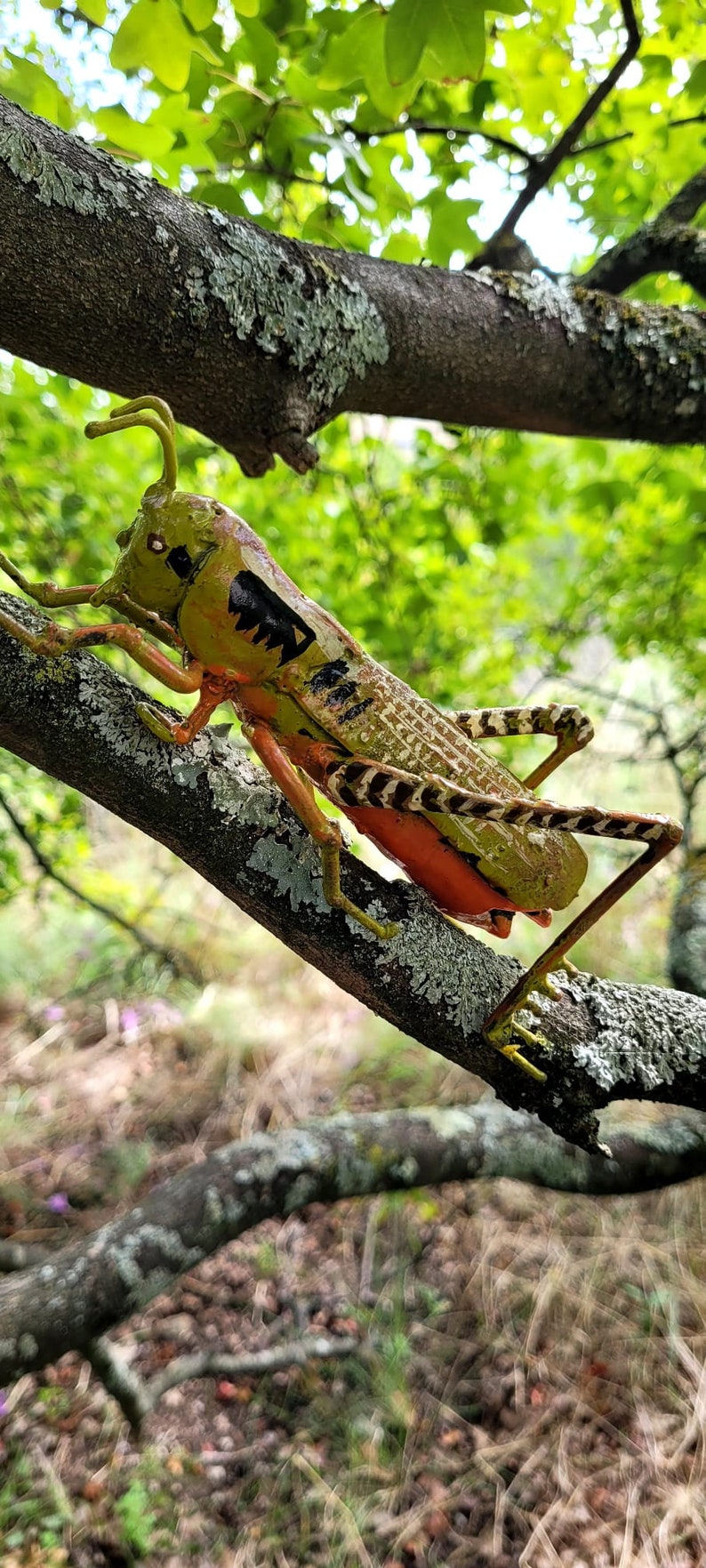 Grasshopper, Locust, Recycled Metal Insect, Beetle, Garden Decoration ...