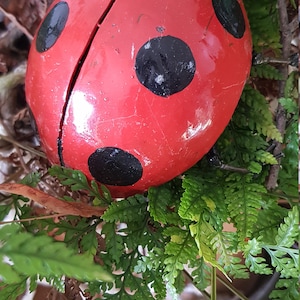 Ladybug, Recycled Metal, Insect, Beetle, Garden Decoration, Entomology ...