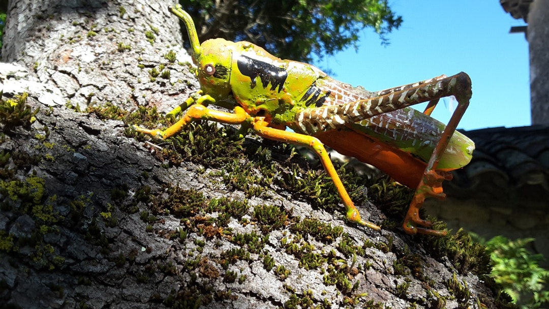 Grasshopper, Locust, Recycled Metal Insect, Beetle, Garden Decoration ...