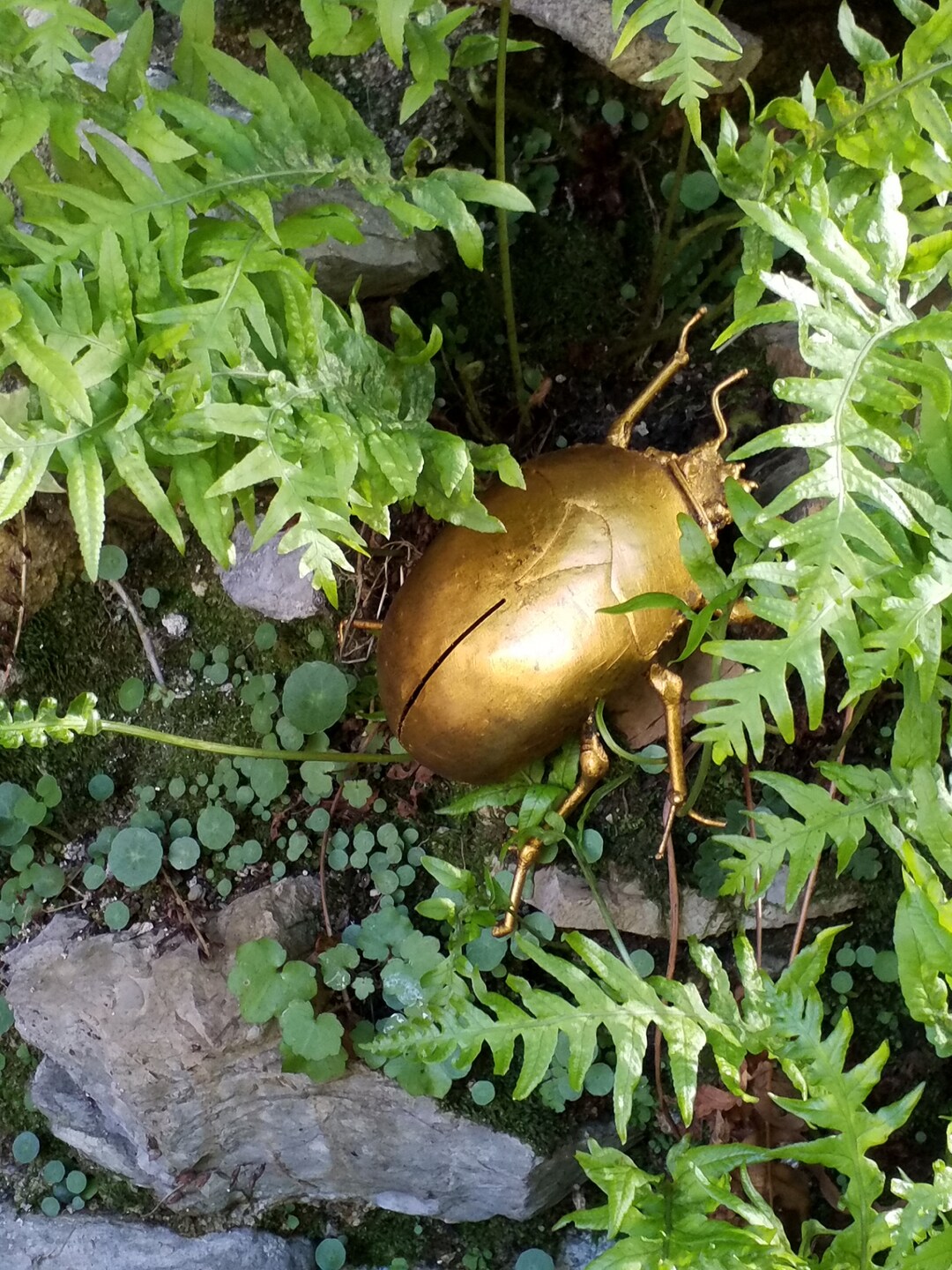 Scarab, Recycled Metal Insect, Entomology, Garden Decoration, Nature ...