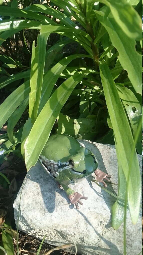 Frog Recycled Metal Animal Tree Frog Garden Decoration - Etsy