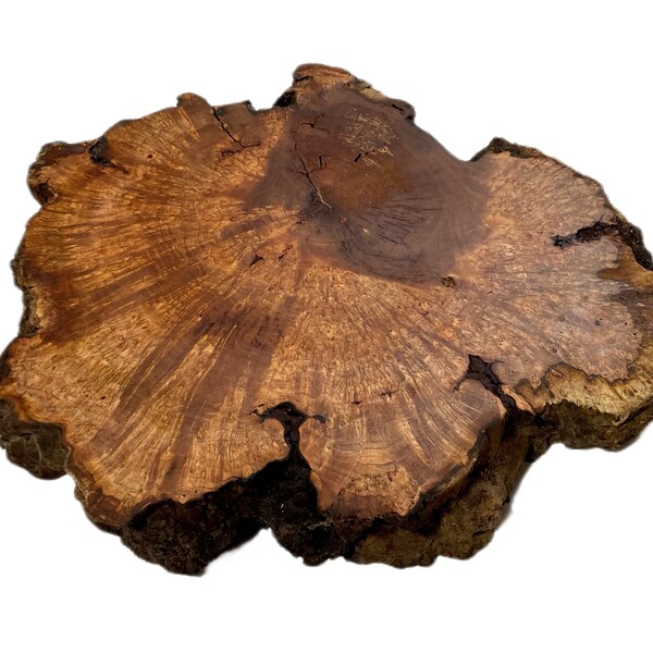 Burl Wall Art - Etsy