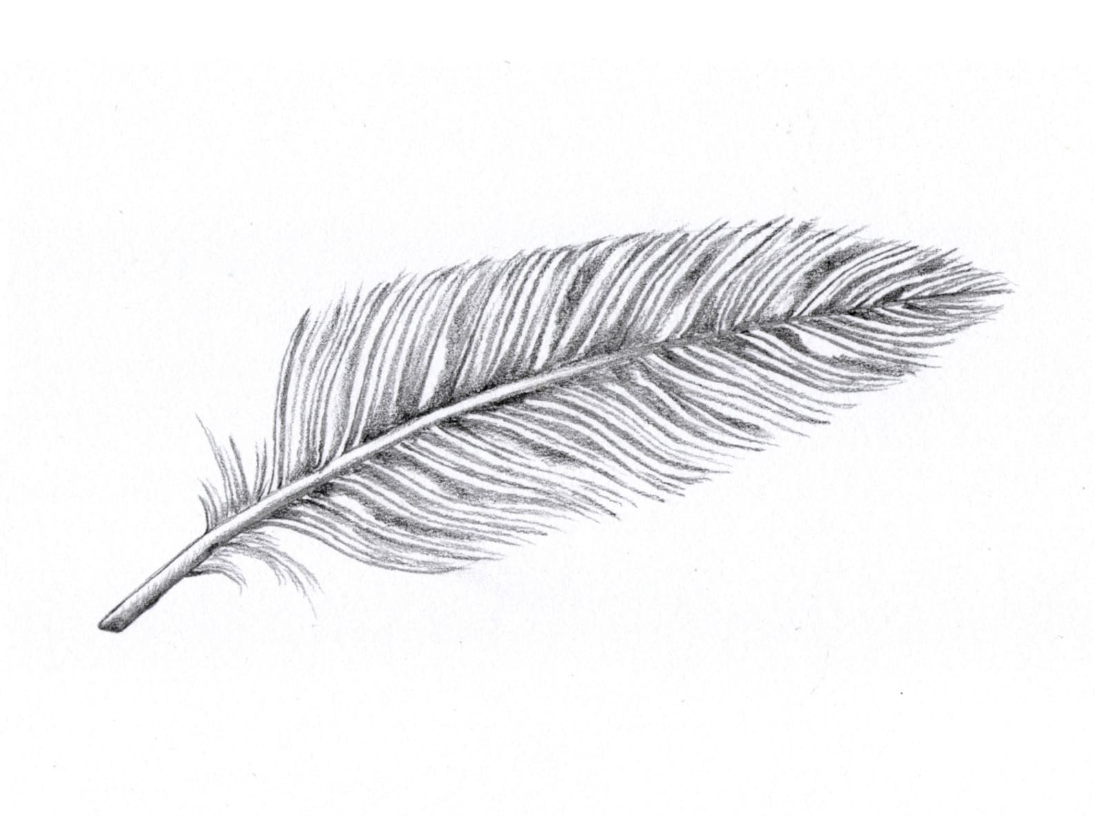 Handmade Sympathy Card // Pencil Drawing // Feather // Condolences ...