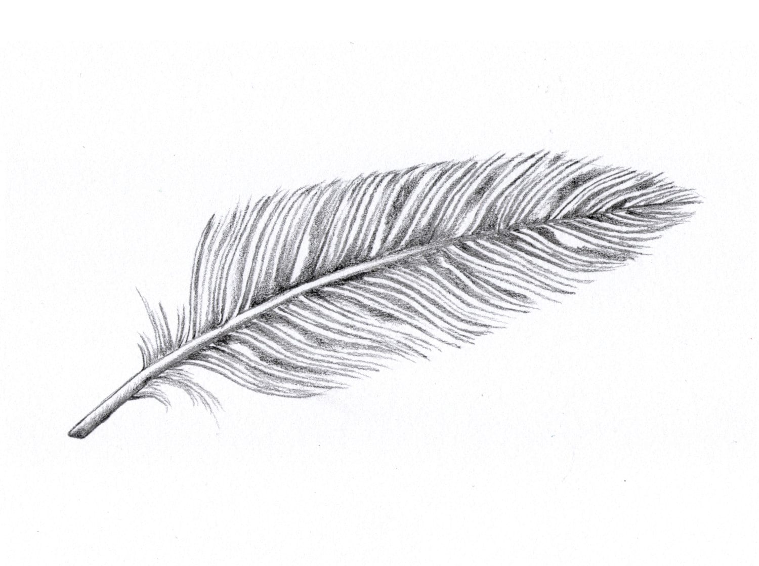 Handmade Sympathy Card // Pencil Drawing // Feather // Condolences ...