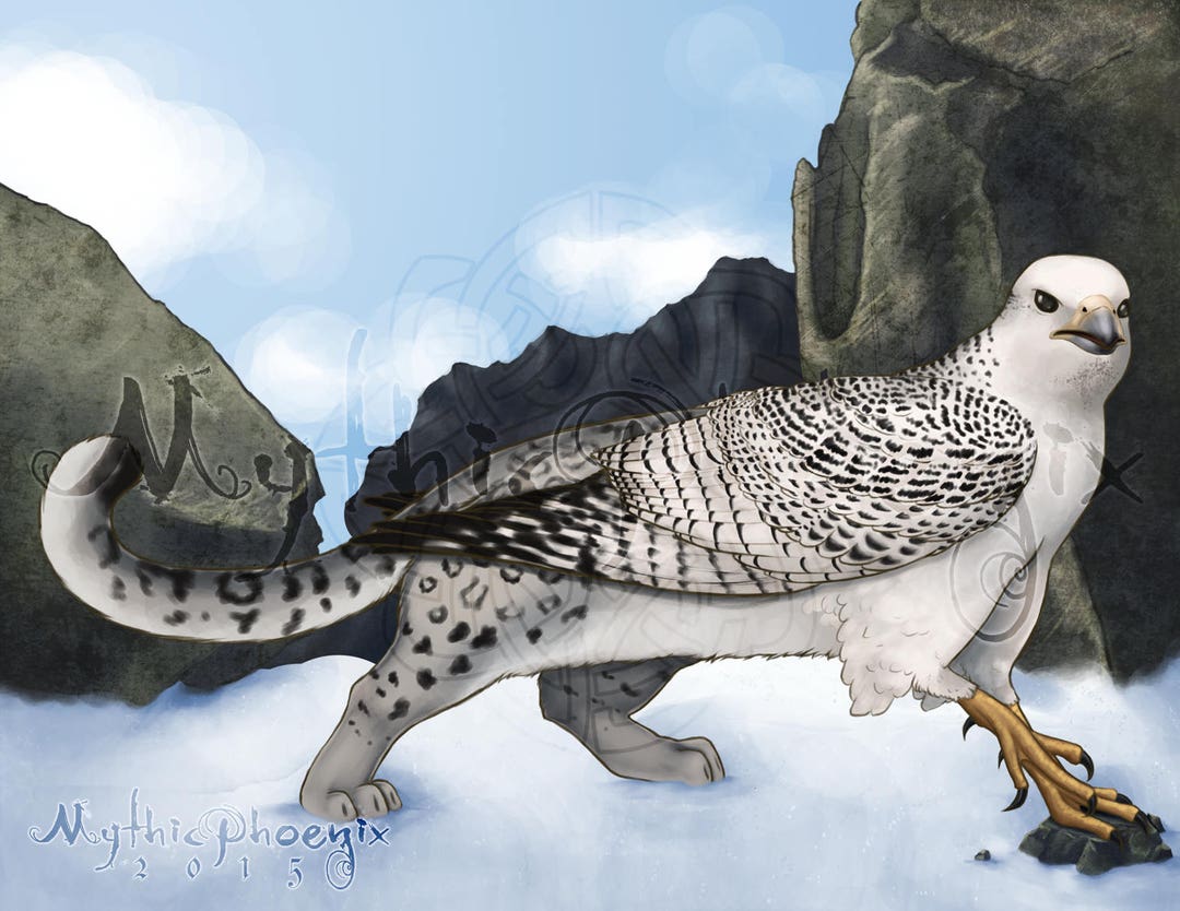 Snow Gryphon 8.5x11 Print - Etsy