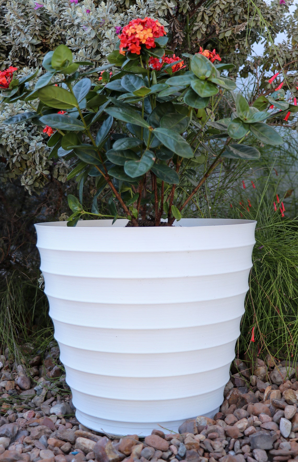 3D Printed Flower Pot vase/planter Free Shipping - Etsy