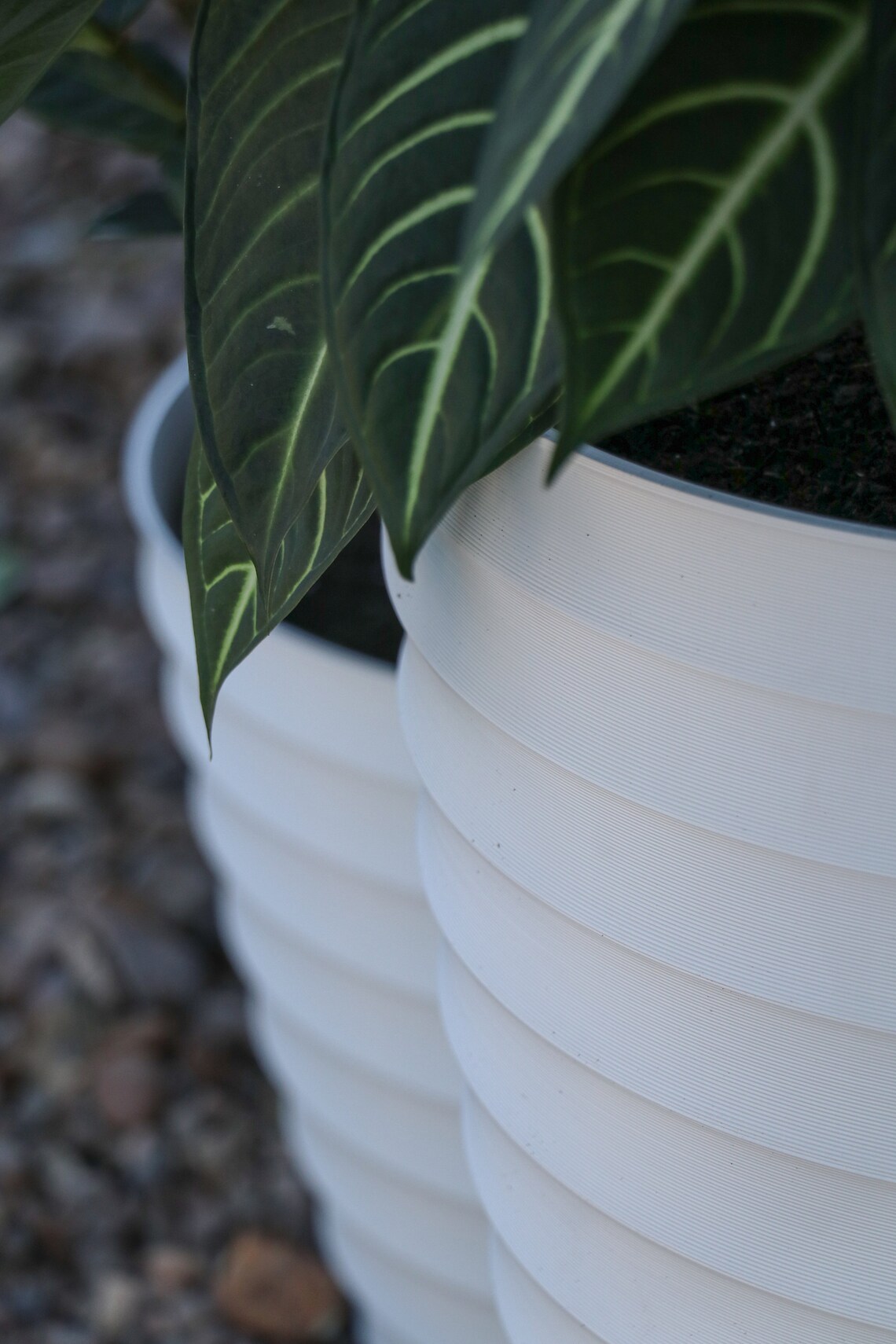 3D Printed Flower Pot vase/planter Free Shipping - Etsy