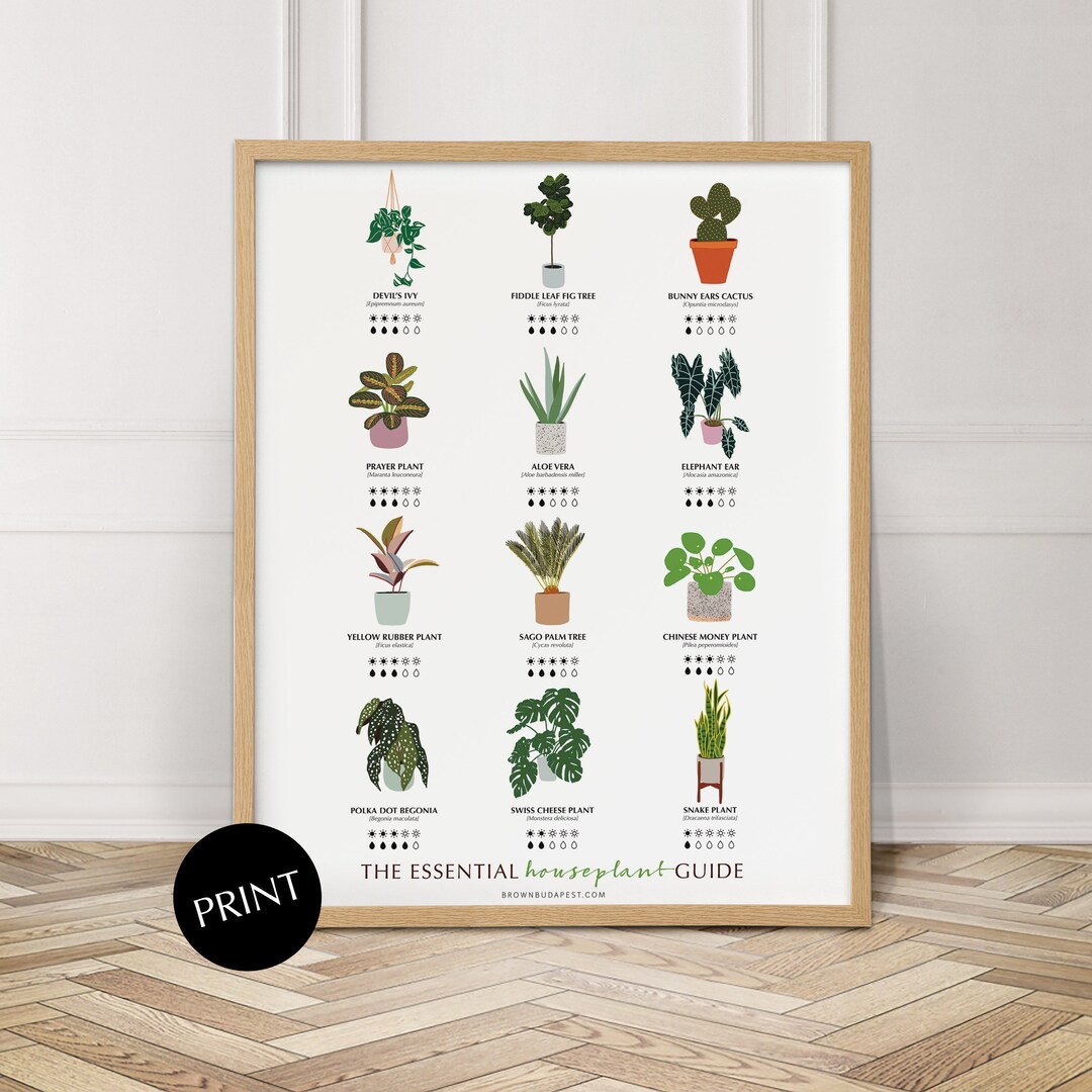 Minimalist Houseplant Care Print, Botanical Poster, Botanical Wall Art ...