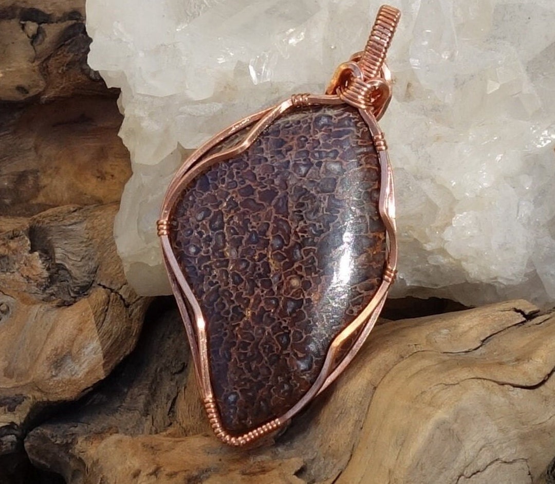 Dinosaur Necklace, Dinosaur Fossil, Dinosaur Bone Necklace, Gembone ...