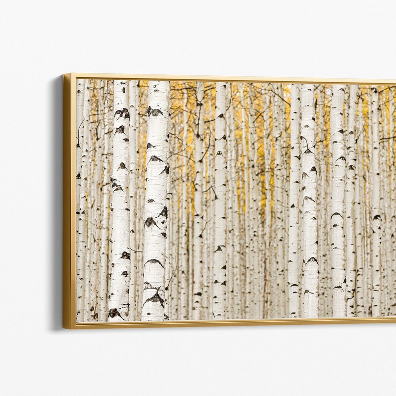 Aspen Tree Art - Etsy
