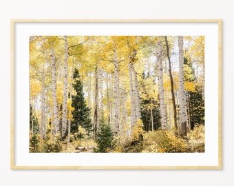 Aspen Tree Art | Etsy