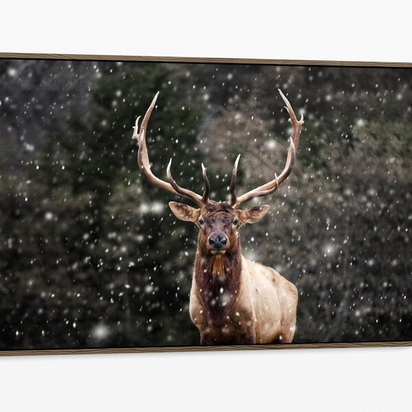 Moose Canvas Wall Art Rustic Decor Hunting Gifts Maine Forest Print ...