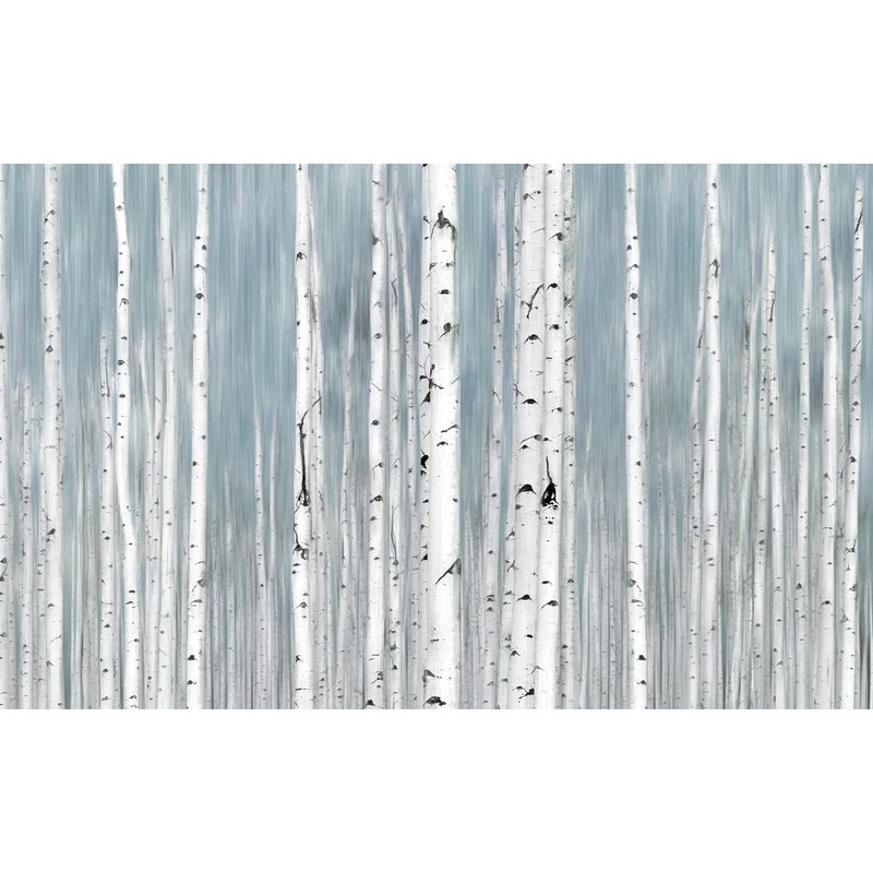 Birch Tree Decor - Etsy
