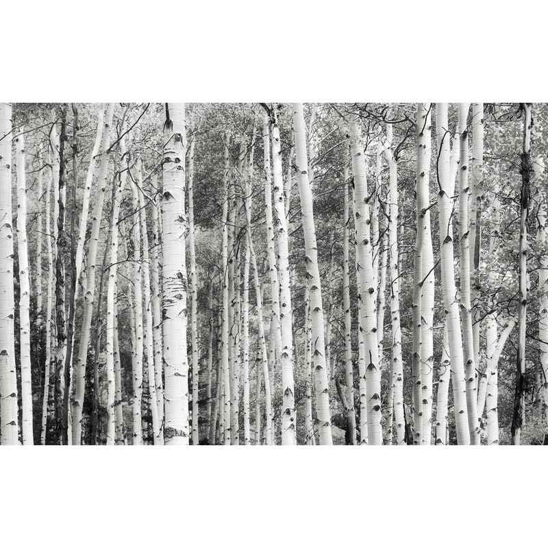 Black and White Tree Art - Etsy