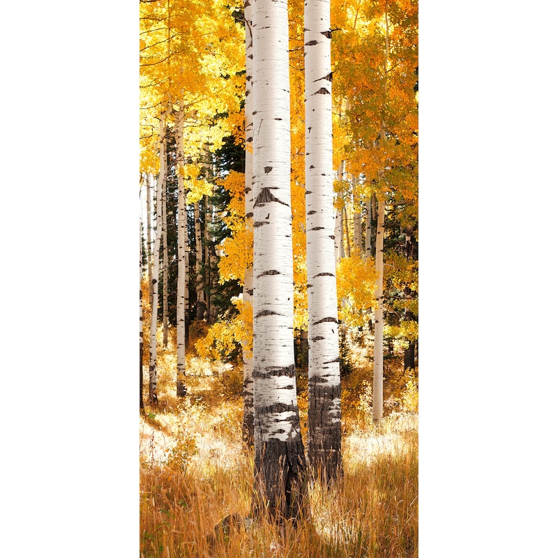 Aspen Decor - Etsy