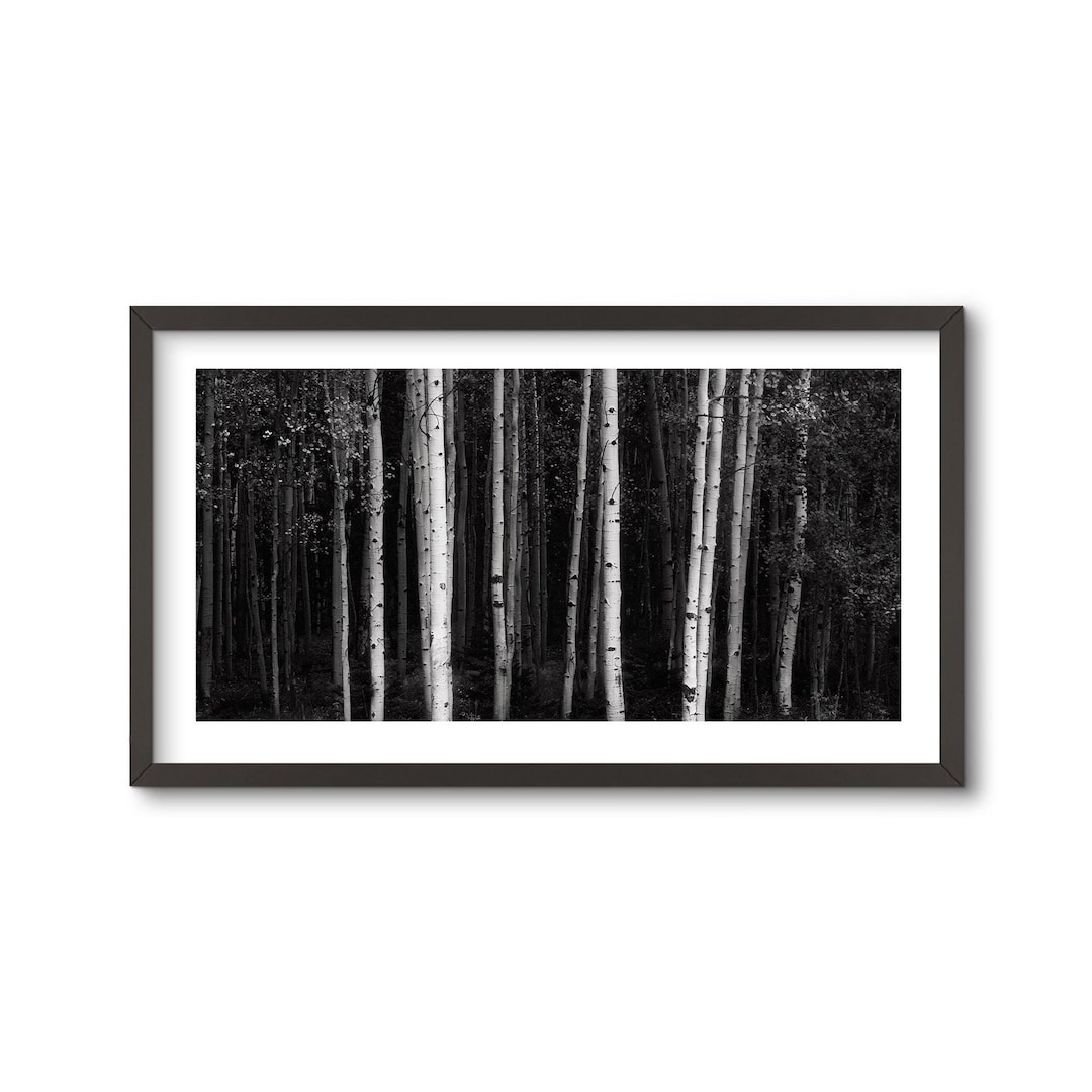 Black White Landscape, Aspen Art Print, Colorado Wall Art, Home Decor ...