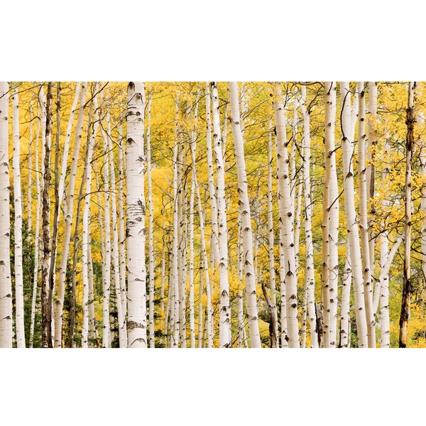 Aspen Decor - Etsy