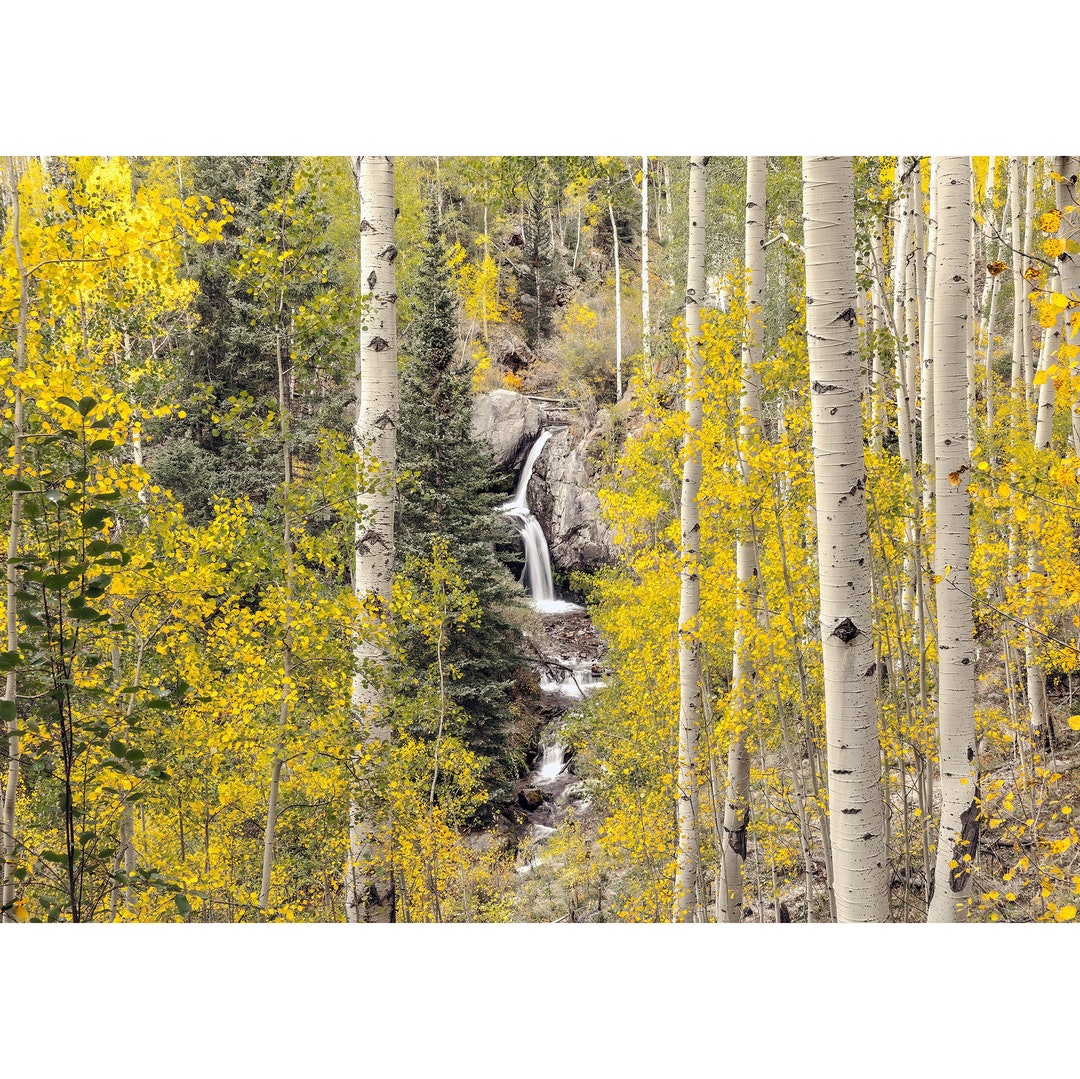 Colorado Aspen Waterfall Photography Print Canvas Wall Art Nature Home ...