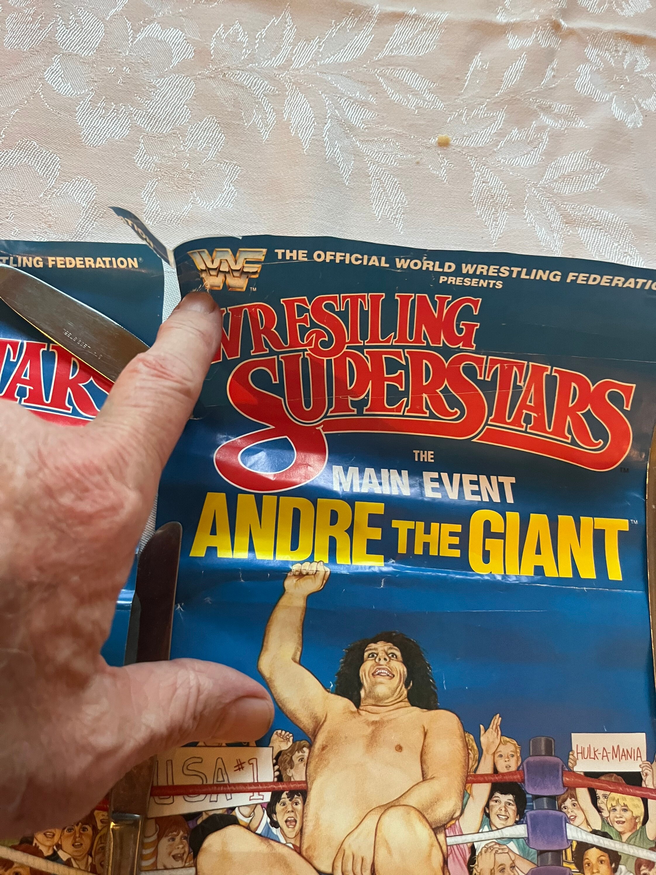 World Wrestling Federation Superstars