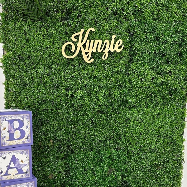 Custom Backdrop - Etsy