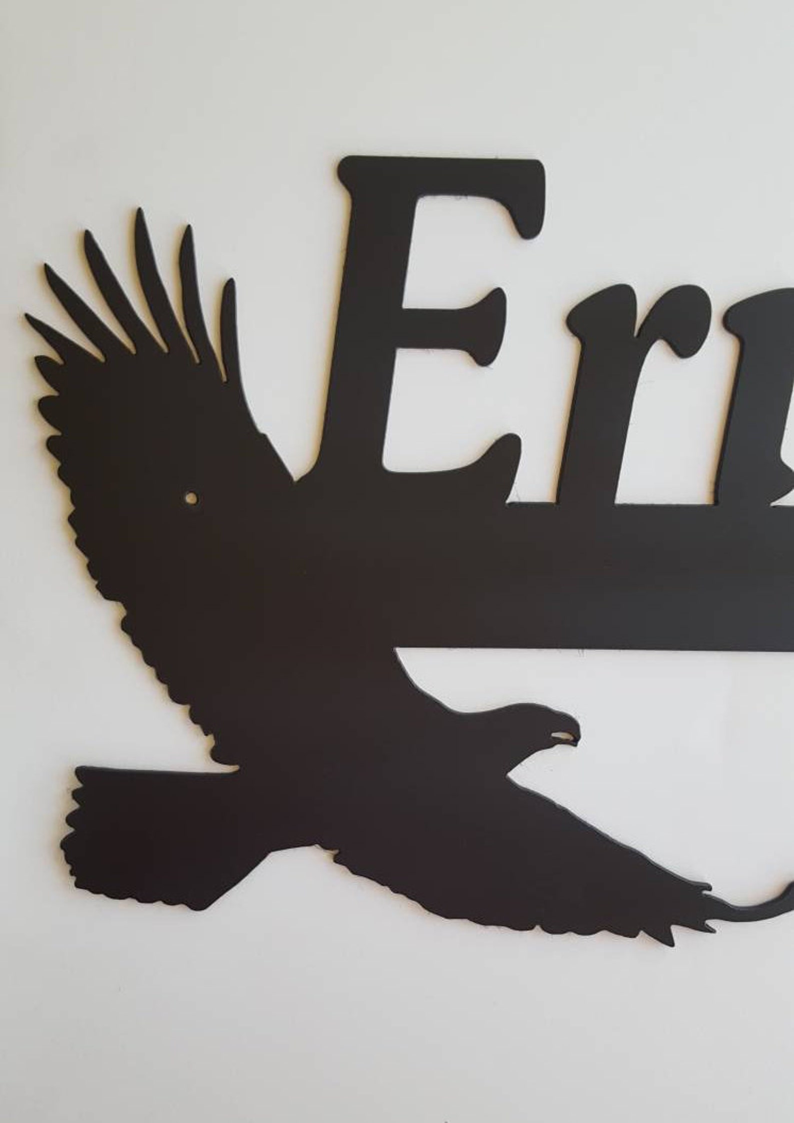 Family Name Sign. Metal Sign. Eagle Sign. Metal Eagle Name - Etsy