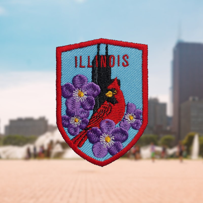 Vintage Illinois Patches - Etsy UK