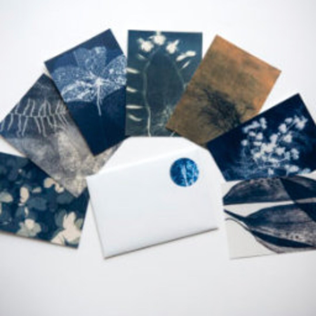 7 Cyanotype Postcards - Etsy