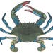 Blue Crab Embroidery Design - Etsy