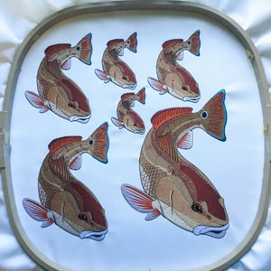 Red Drum / Redfish Embroidery Design - Etsy