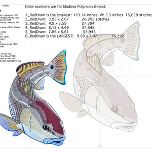 Red Drum / Redfish Embroidery Design - Etsy