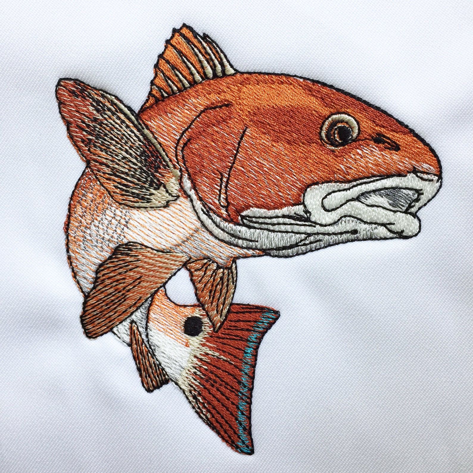 Redfish / Red Drum Embroidery Design - Etsy