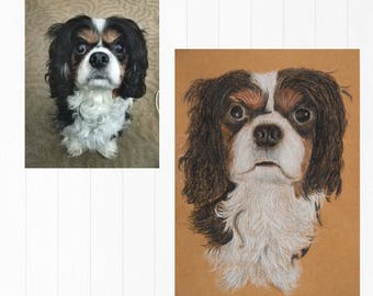 Custom Dog Art Dog Drawing Dog Portrait Custom Custom Pet | Etsy