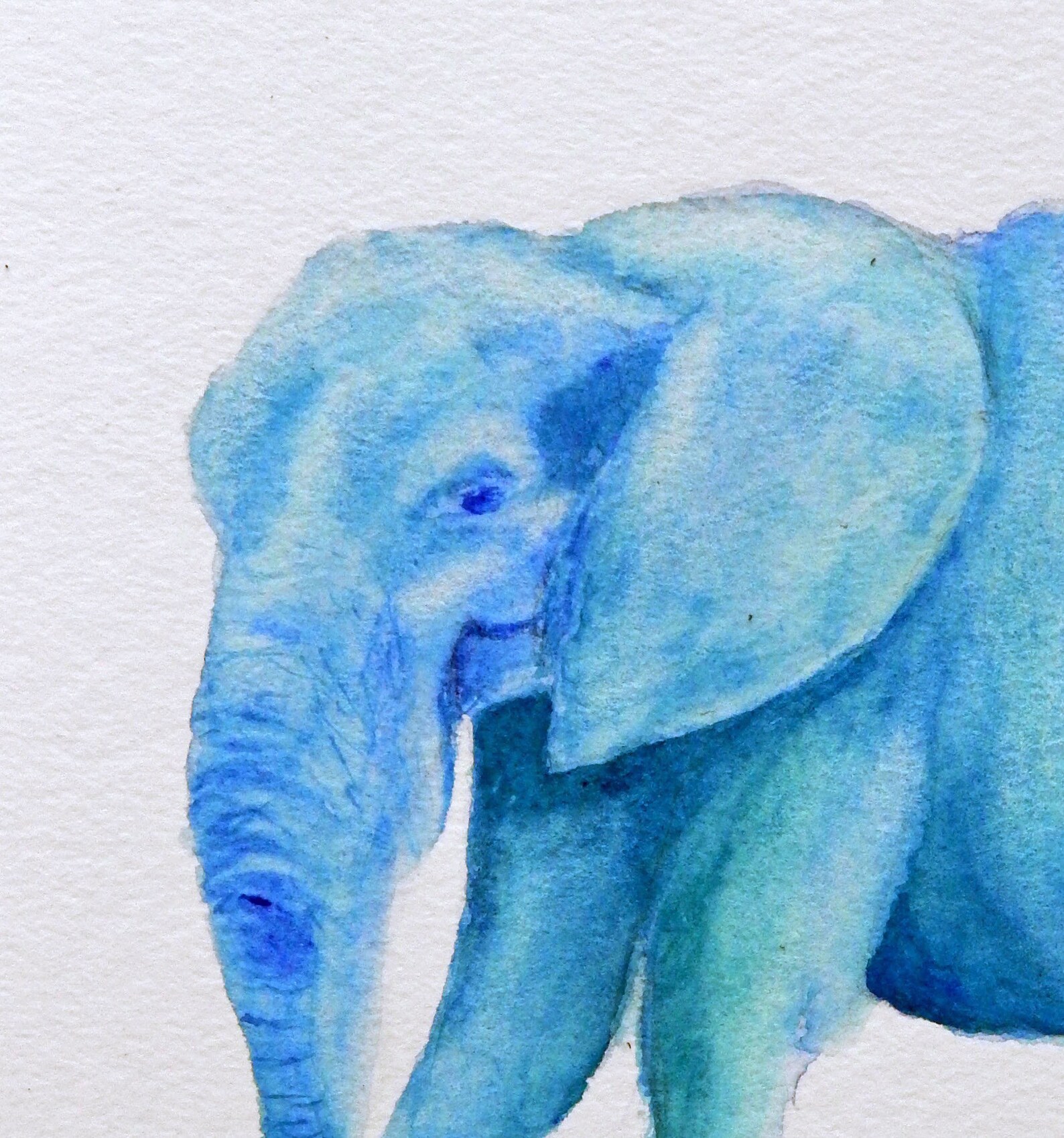 Elephant Art Blue Watercolor Art Elephant Painting Elephant Watercolor ...