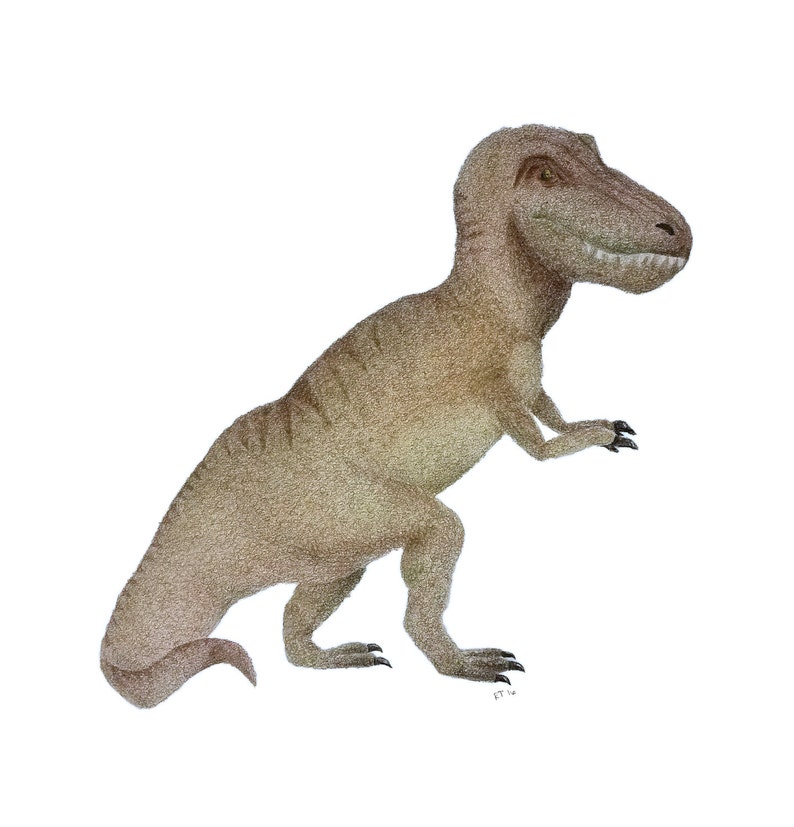 T-rex Art, T-rex Print, Tyrannosaurus Rex Print, Dinosaur Print ...