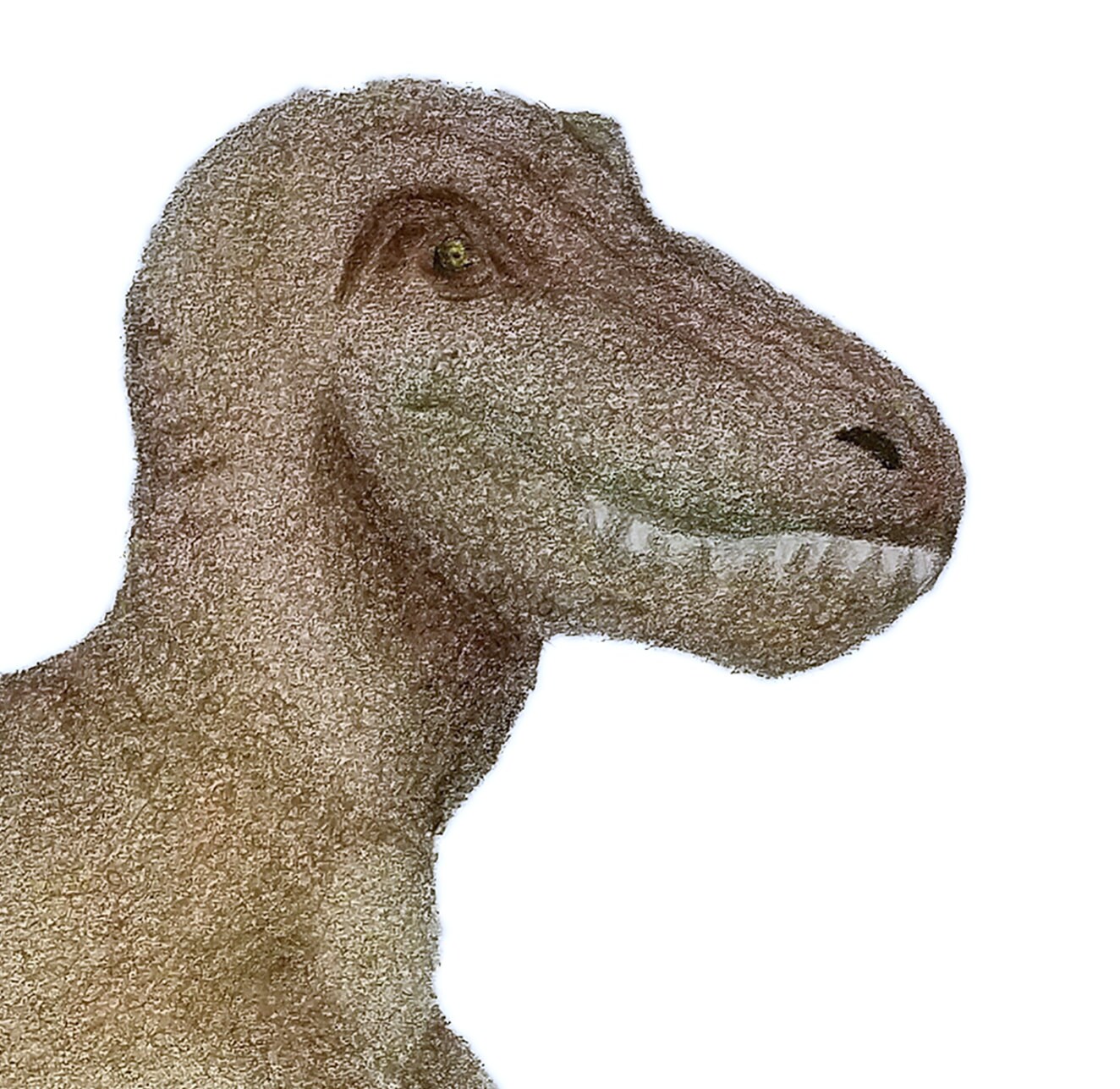 T-rex Art, T-rex Print, Tyrannosaurus Rex Print, Dinosaur Print ...