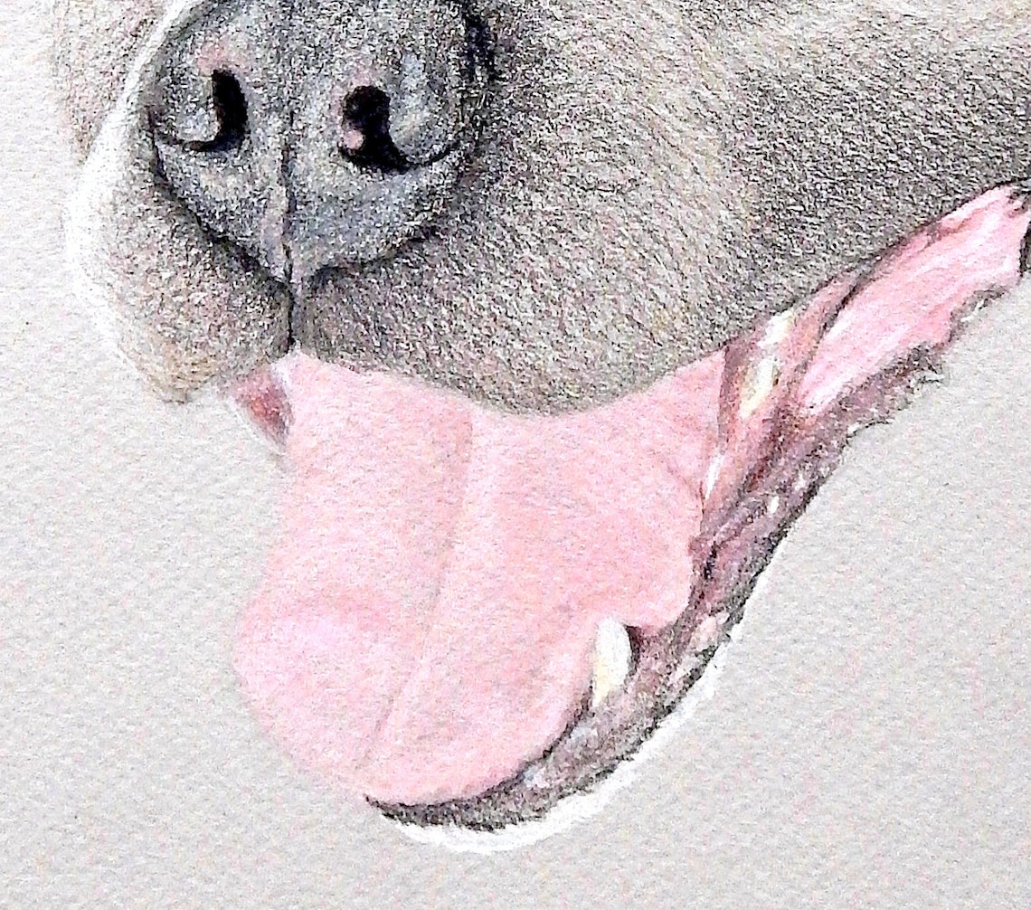 Custom Dog Art Dog Drawing Dog Portrait Custom Custom Pet - Etsy