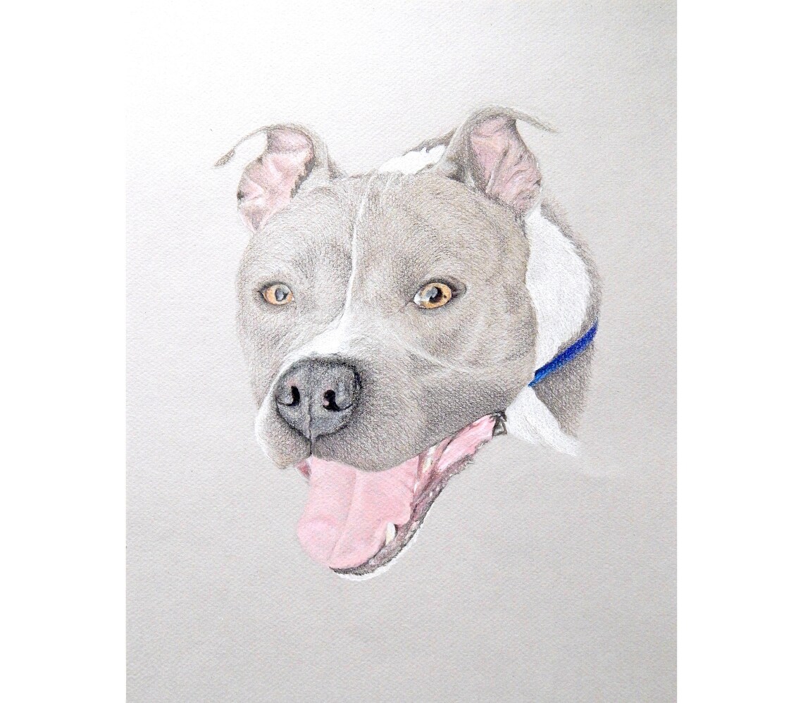 Custom Dog Art Dog Drawing Dog Portrait Custom Custom Pet - Etsy