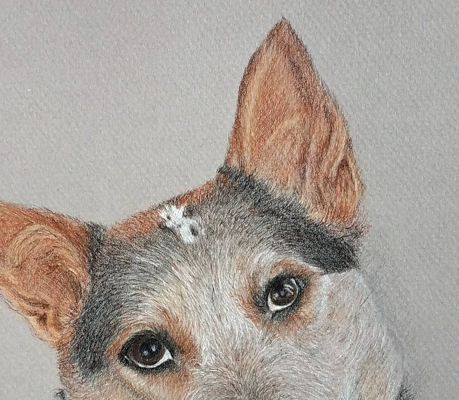 Custom Dog Drawing From Your Photos, Hand Drawn Colored Pencil Pet ...