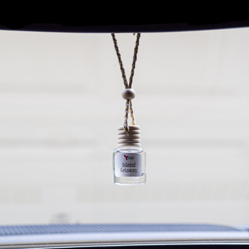 Car Diffuser Hanging Car Diffuser Car Fresheners Wood Reed - Etsy