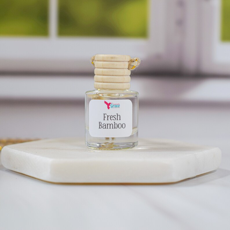 Car Diffuser Hanging Car Diffuser Car Fresheners Wood Reed - Etsy