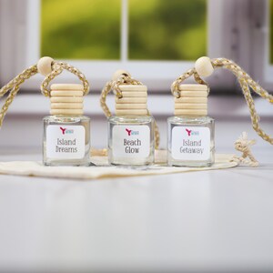 Car Diffuser, Hanging Car Diffuser, Car Air Freshener, Wood Reed ...