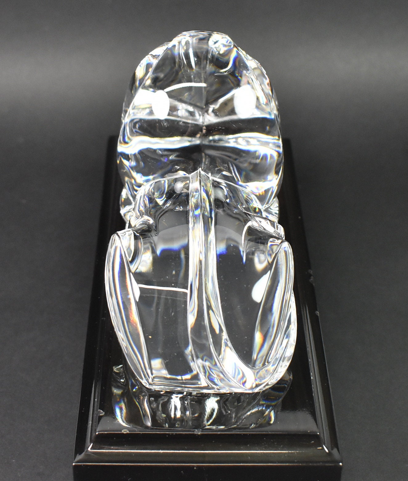 Steuben Glass Lion With Original Box - Etsy