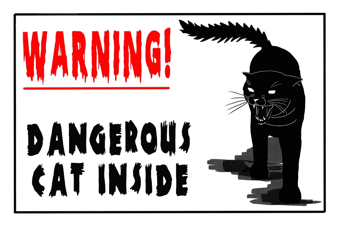 Dangerous Cat Print - Etsy