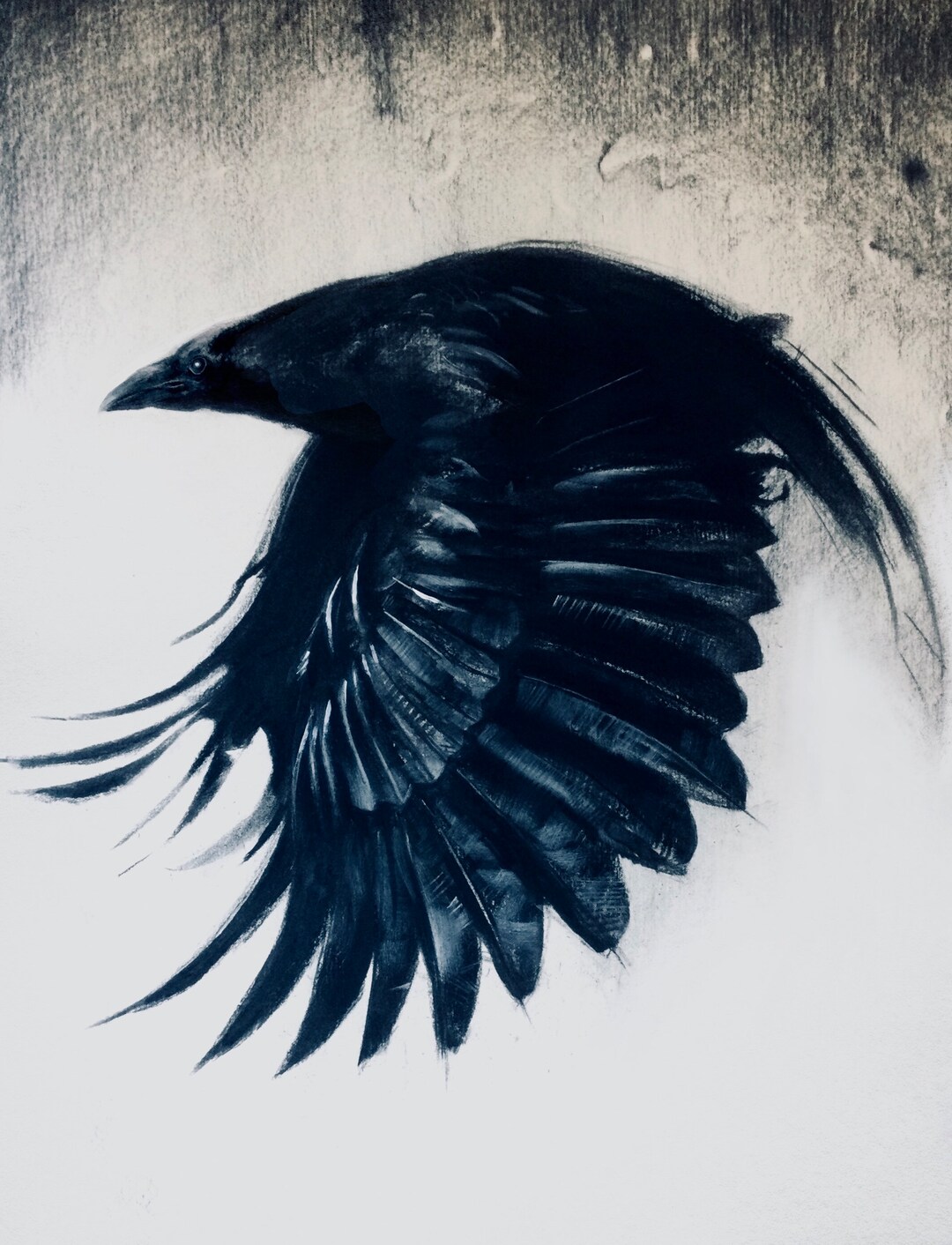 Wings. Gothic Art Print of Original Raven Charcoal Drawing. Animal Wall ...