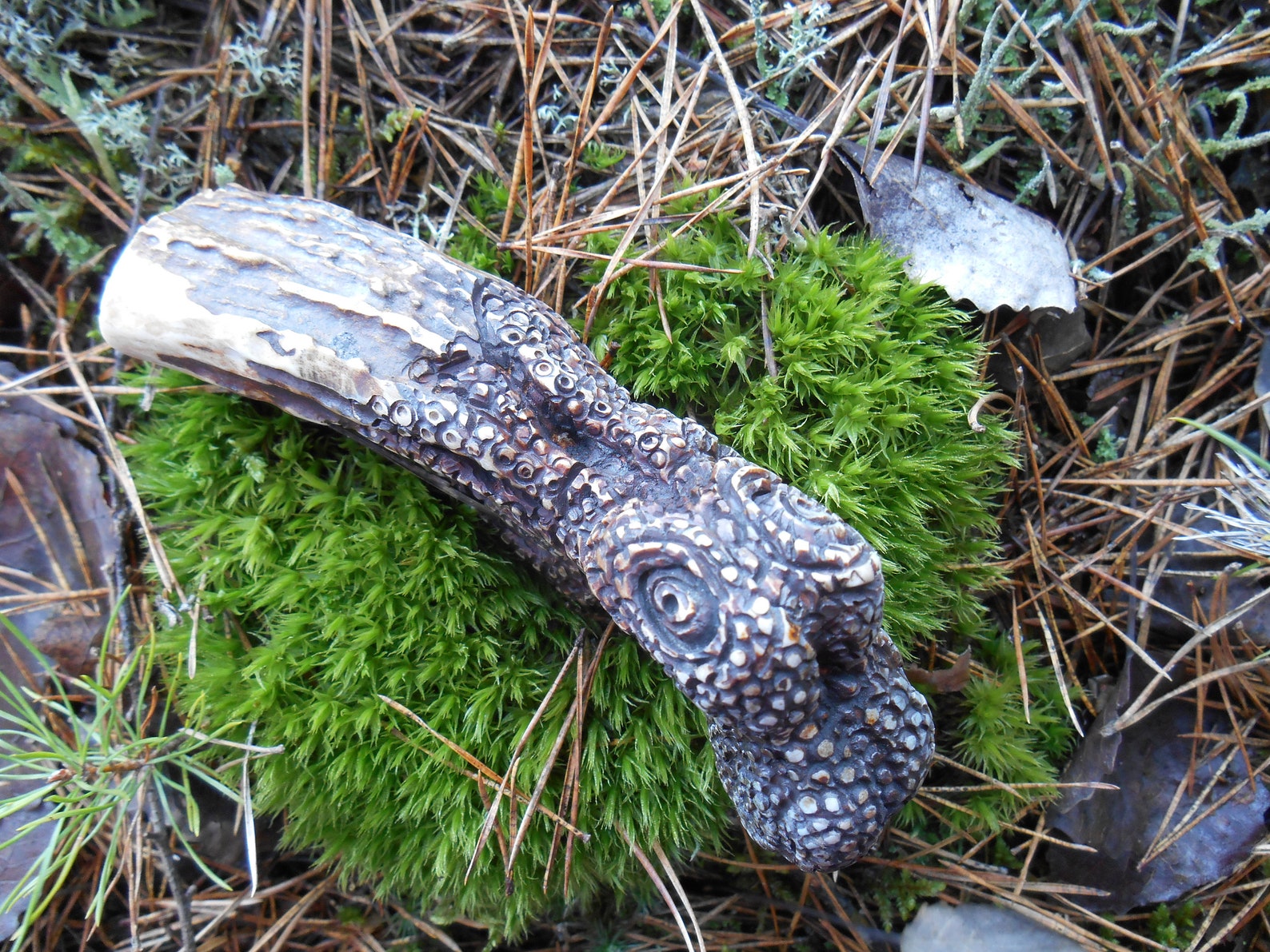 The Handle of the Knife "octopus".the Handle for the Cane. - Etsy