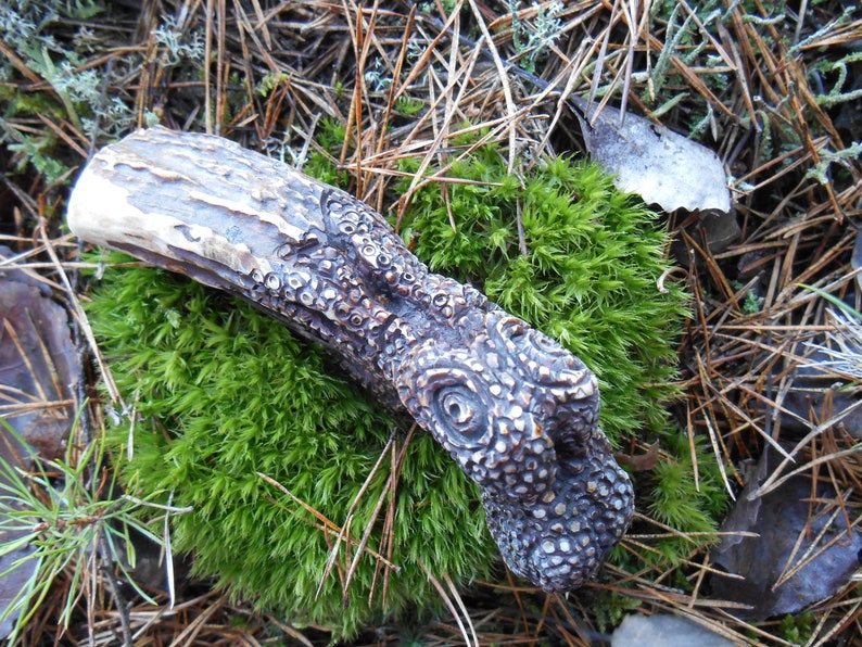 The Handle of the Knife "octopus".the Handle for the Cane. - Etsy
